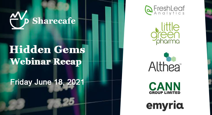 Hidden Gems Webinar Recap - Fresh Leaf Analytics, LGP, CAN, AGH & EMD - ShareCafe