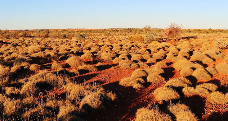 Newcrest Sees Gold in the East Pilbara Hills - ShareCafe