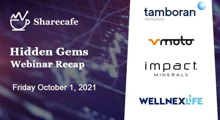 Webinar Recap - TBN, VMT, IPT & WNX - ShareCafe