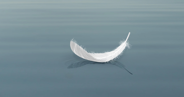 News, discussion, expert analysis and data on ASX shares - ShareCafe