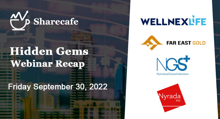 Webinar Recap - NGS, WNX, FEG & NYR - ShareCafe