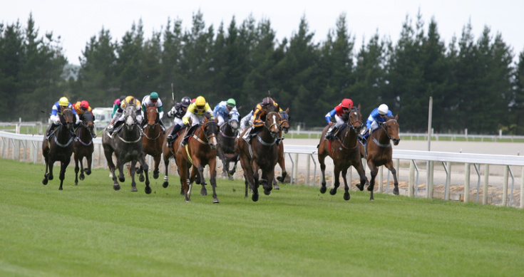 Monday Market Minutes: Home Stretch - ShareCafe