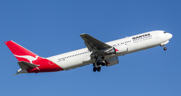 The Kangaroo Is Certainly Flying Now - ShareCafe