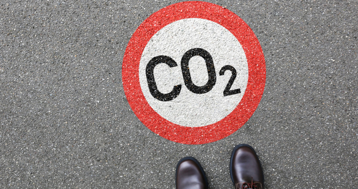 What Are Carbon Allowances and Why Do They Matter? - ShareCafe