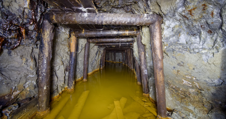 Evolution Looking a Little Washed Out - ShareCafe