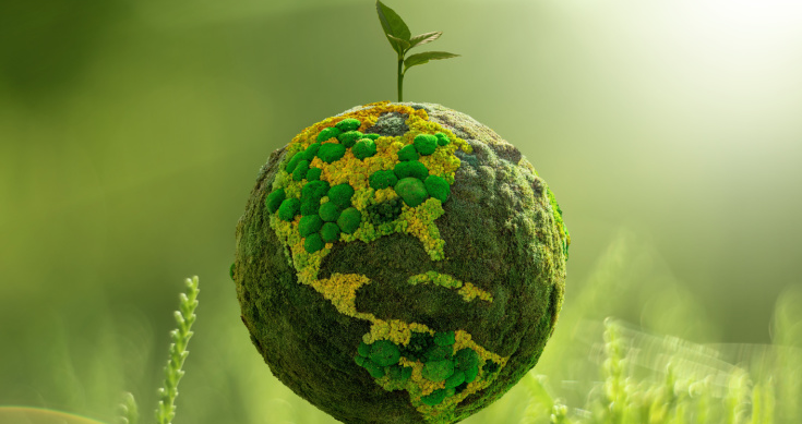 Opportunities in Decarbonisation Disruption - ShareCafe