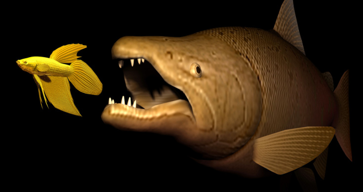 Newmont Need for Newcrest Becomes Ever Clearer - ShareCafe