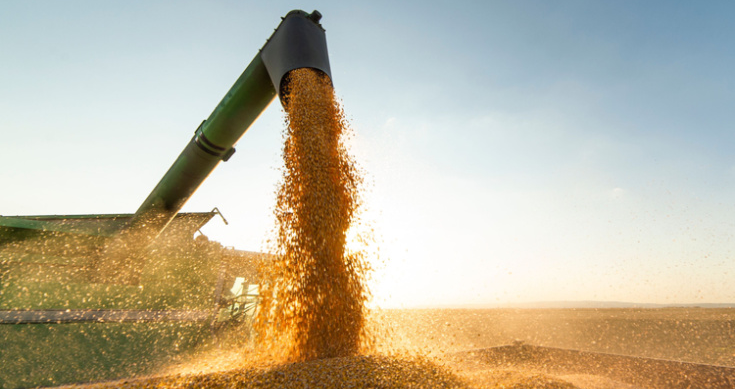 GrainCorp Converting Bushels into Big Bucks - ShareCafe