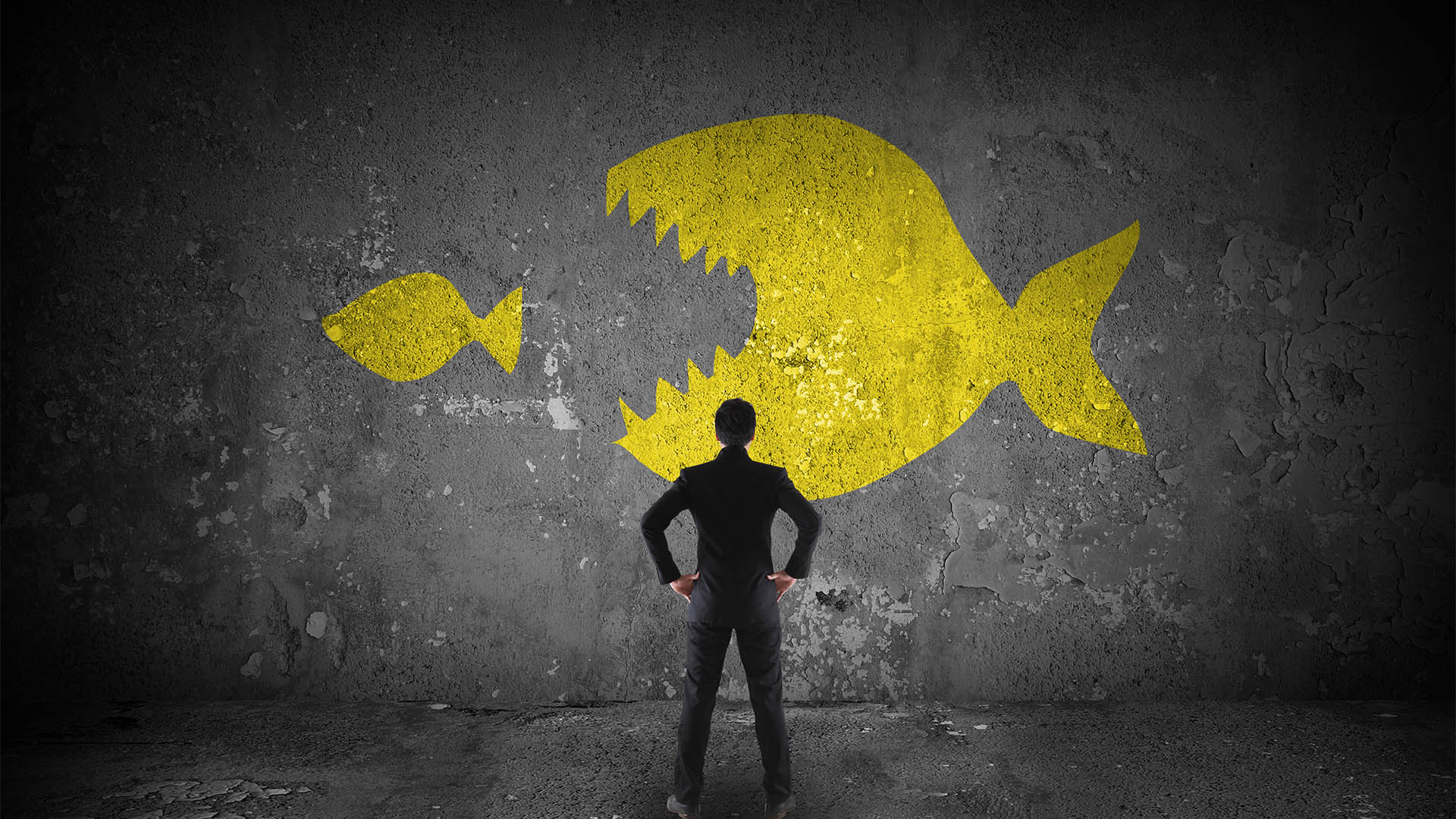 Fortescue metals enters $8m farm-in and joint venture agreement with ...