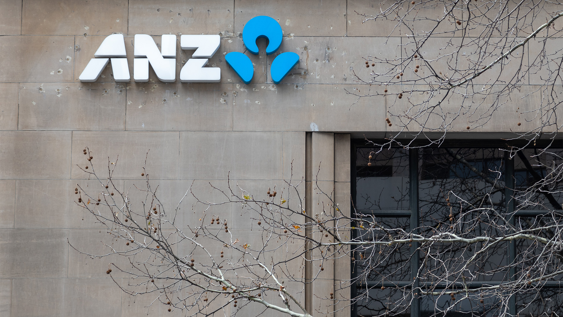 ANZ reports weak earnings but higher dividends - Sharecafe