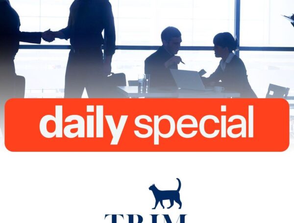 Trim Capital: Asset Allocation Strategy – Issue 002 - Sharecafe